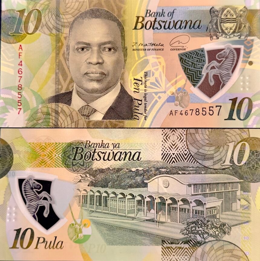 Botswana 10 Pula Plastic Currency - Antiquarian